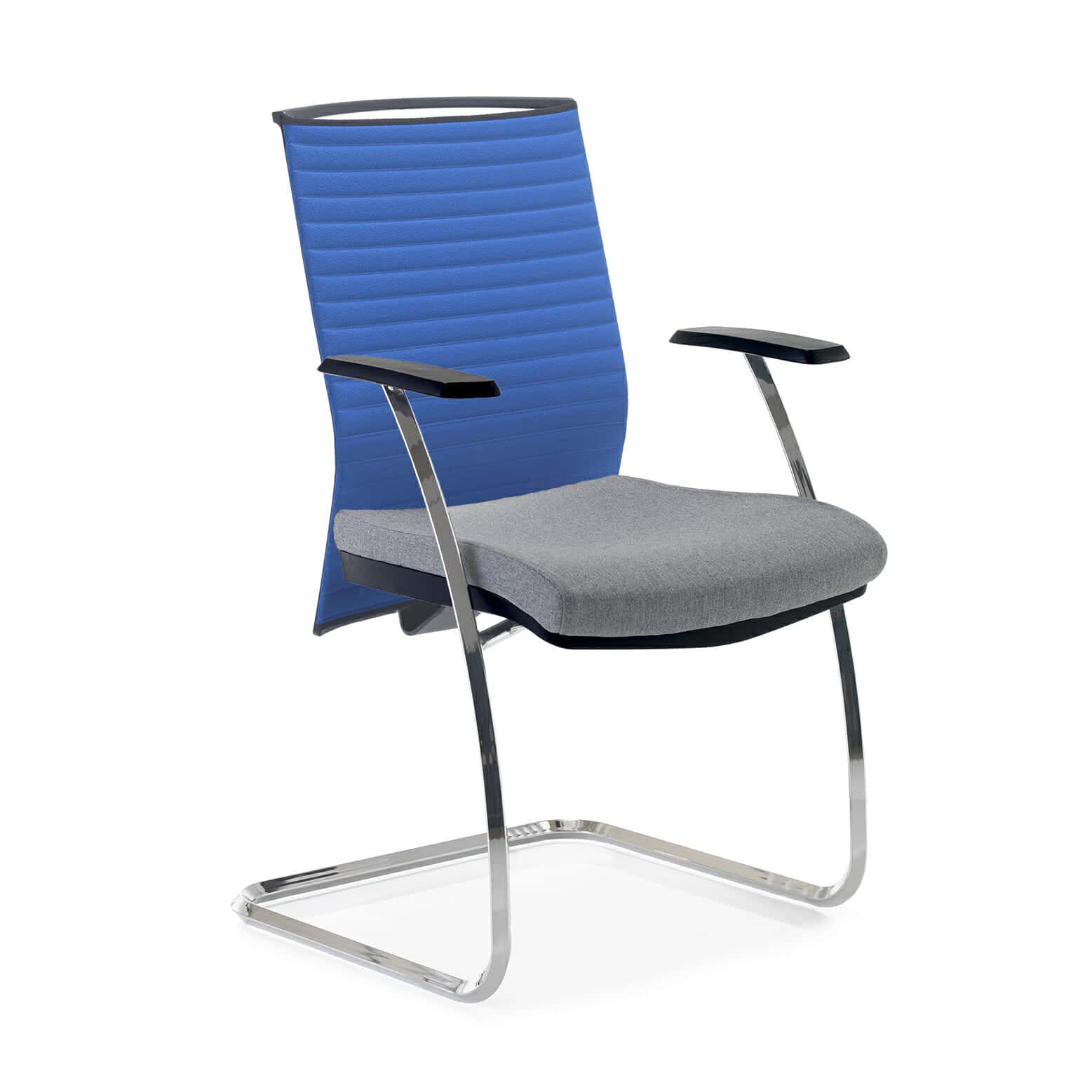 ECOS Breathe Meeting Chair – ECOS